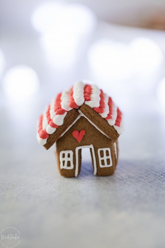 Mini Gingerbread House Mug Toppers - gluten free
